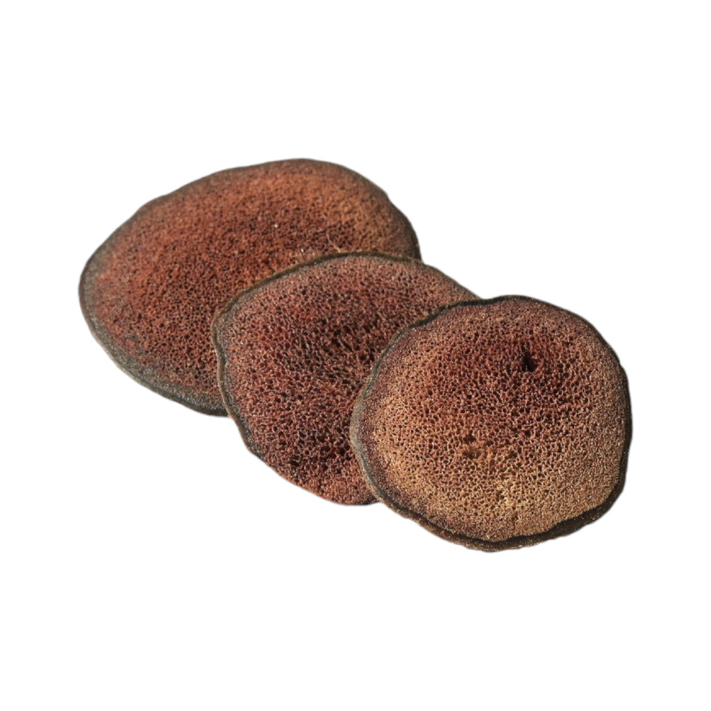 Antler Slice (Each Tael) | Yue Hwa Online Shop